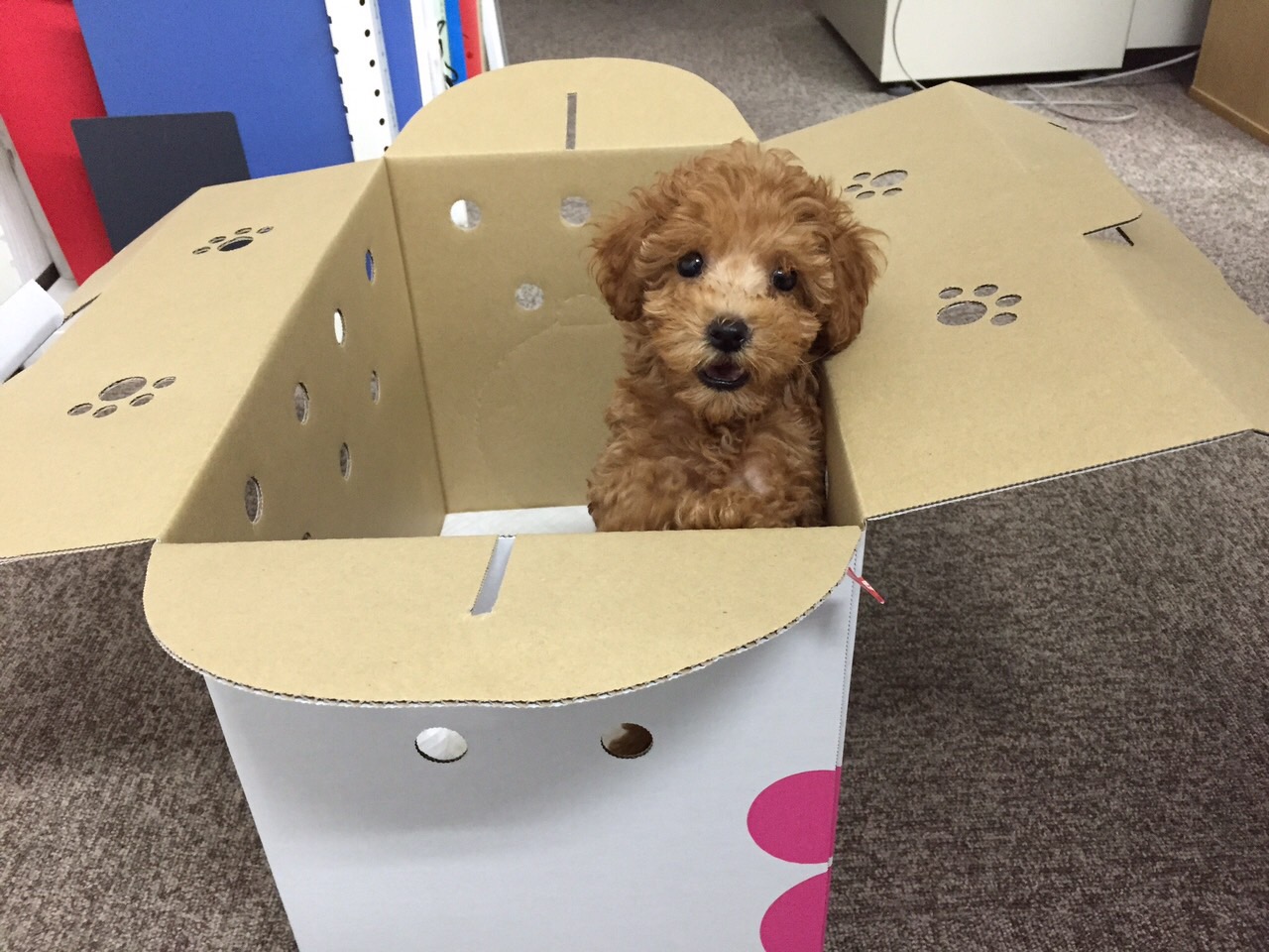 『予断を許さない』｜suidobi代表清水の経営日記『いい会社をつくりましょう』